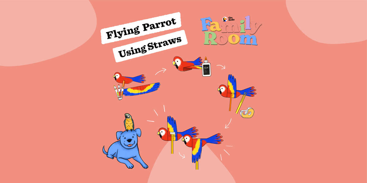 Travel Crafts: Make A Super Colorful Flying Parrot Using Straws - The Dodo