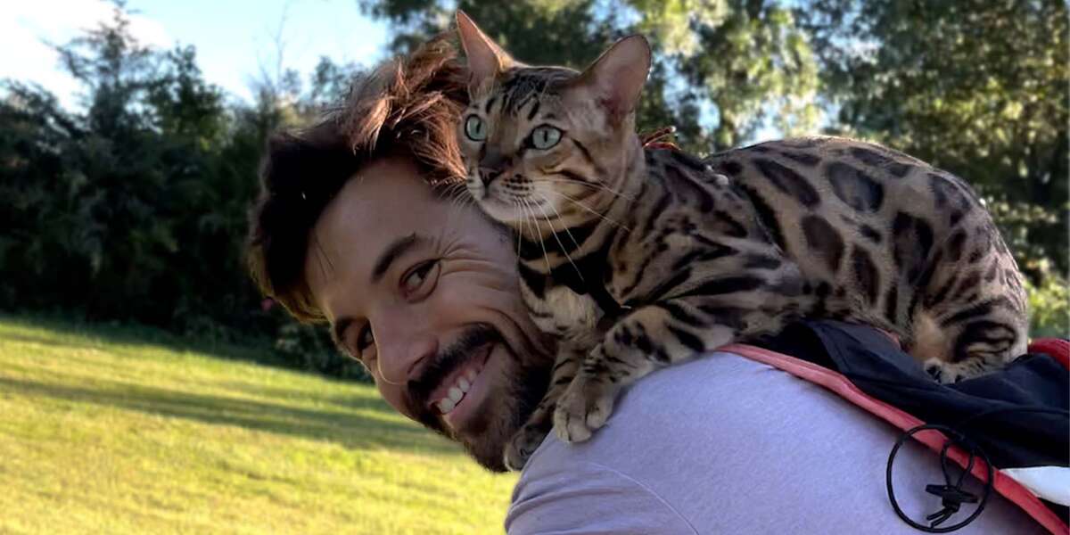 Cat Jumps Onto Her Dad's Shoulders For Bike Rides - Videos - The Dodo