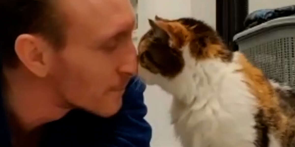 Guy And Cat Have Been Inseparable For 23 Years - Videos - The Dodo