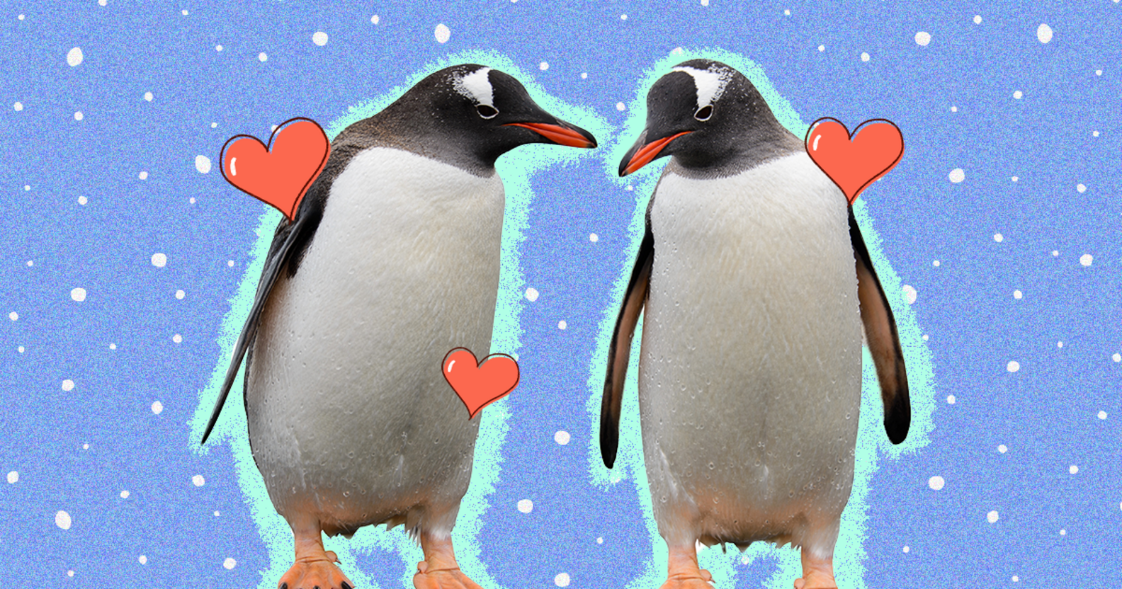 Penguin Facts: 18 Things You Need To Know About This Amazing Animal ...