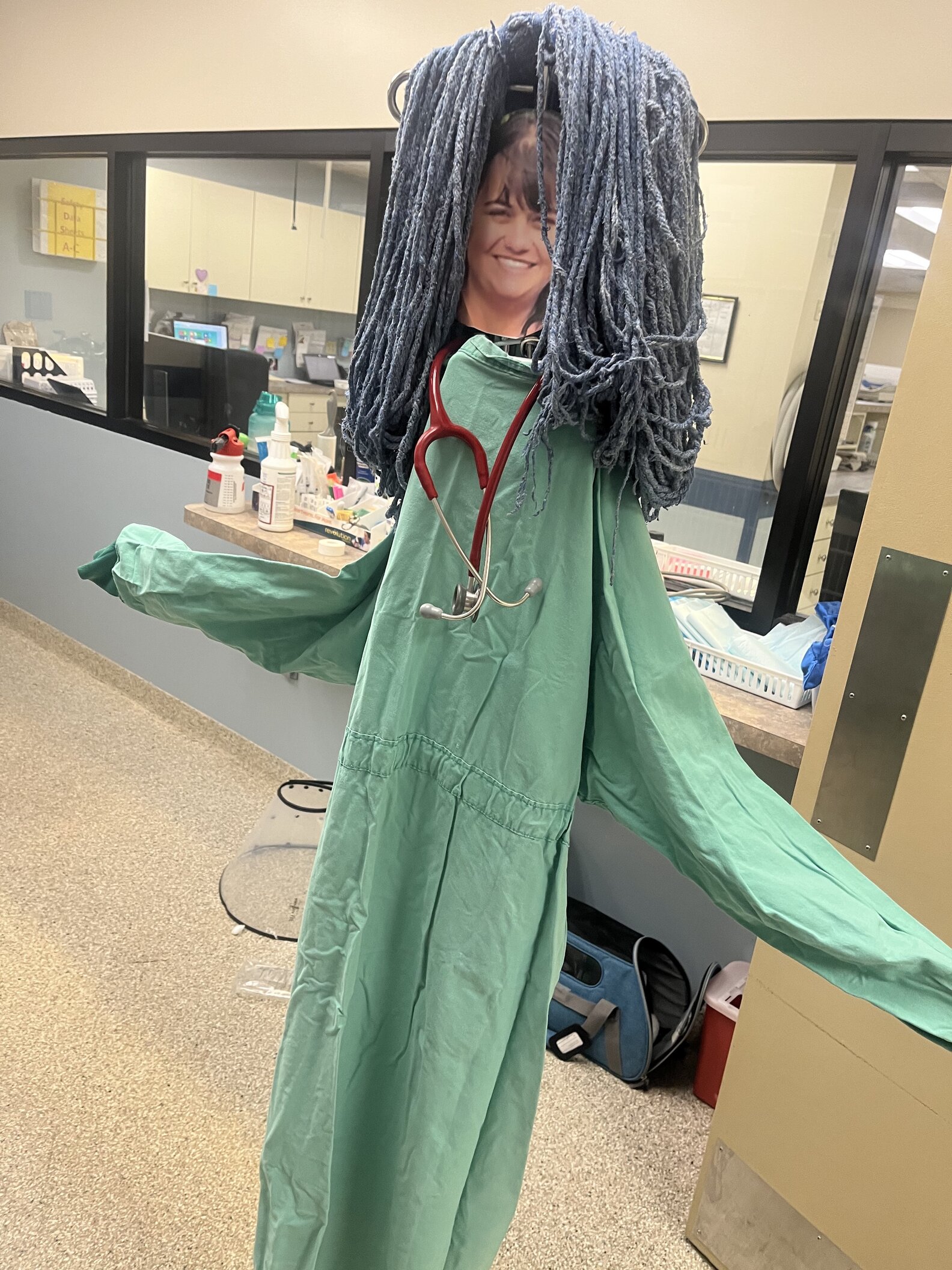 Vet Staff Creates 'Fake Vet' To Watch Over Anxious Husky - The Dodo