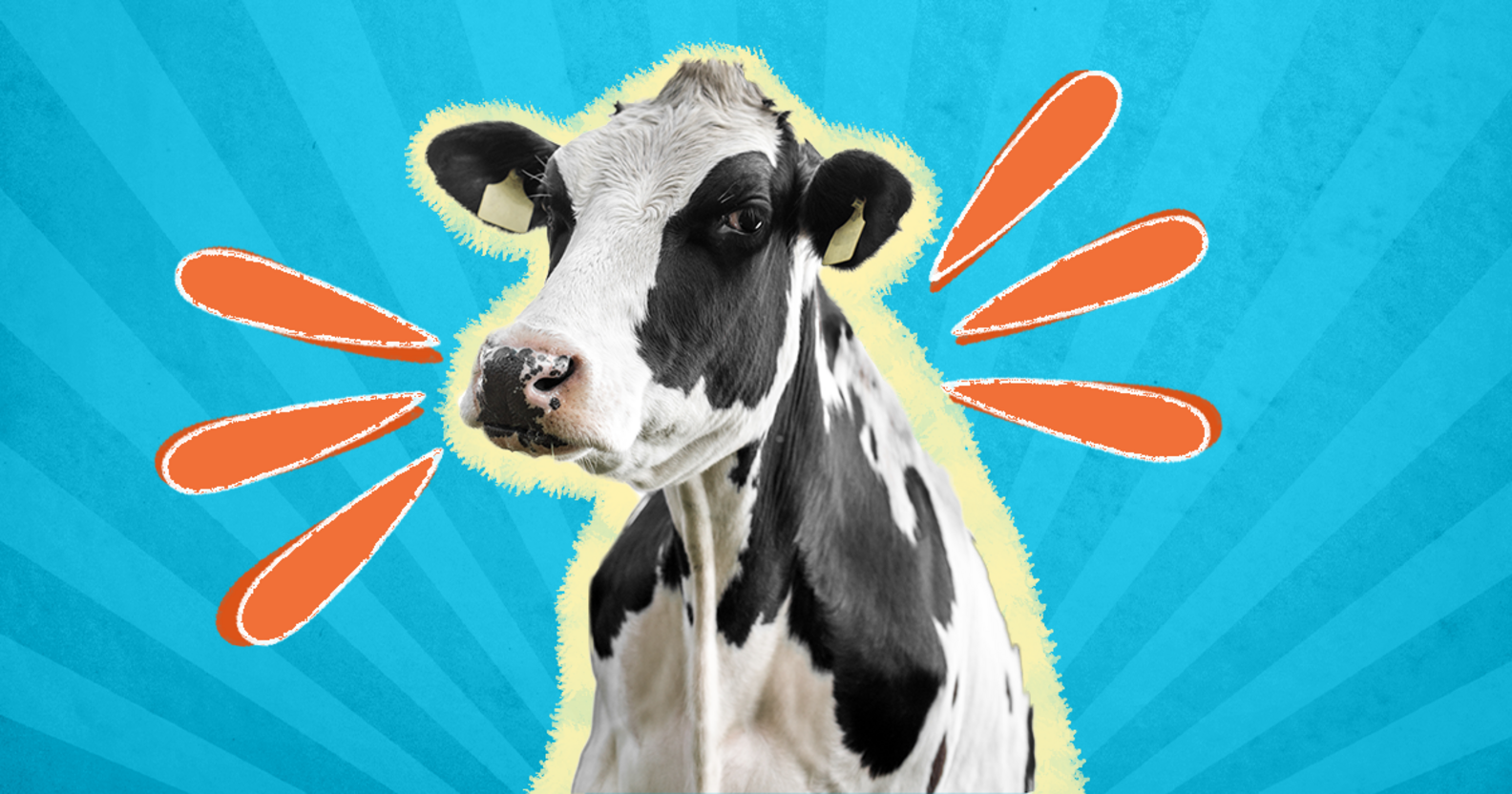 25 Cow Jokes That Will Turn You Into A Comedian, According To Your Kids ...