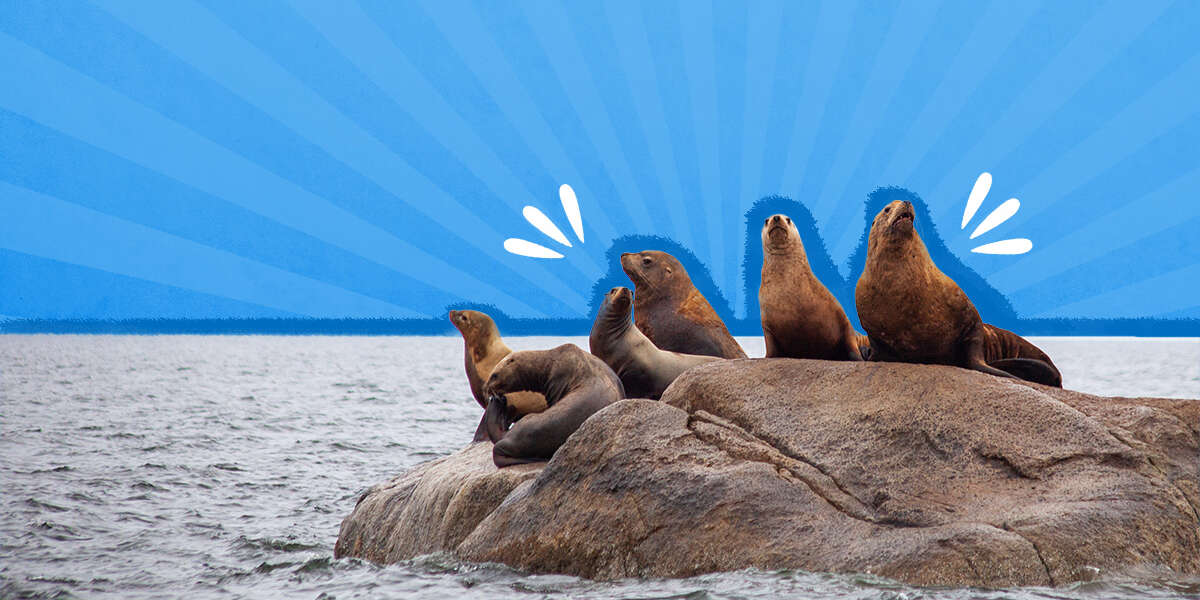 11 Endangered Animals Surprisingly Close To Extinction - DodoWell - The ...