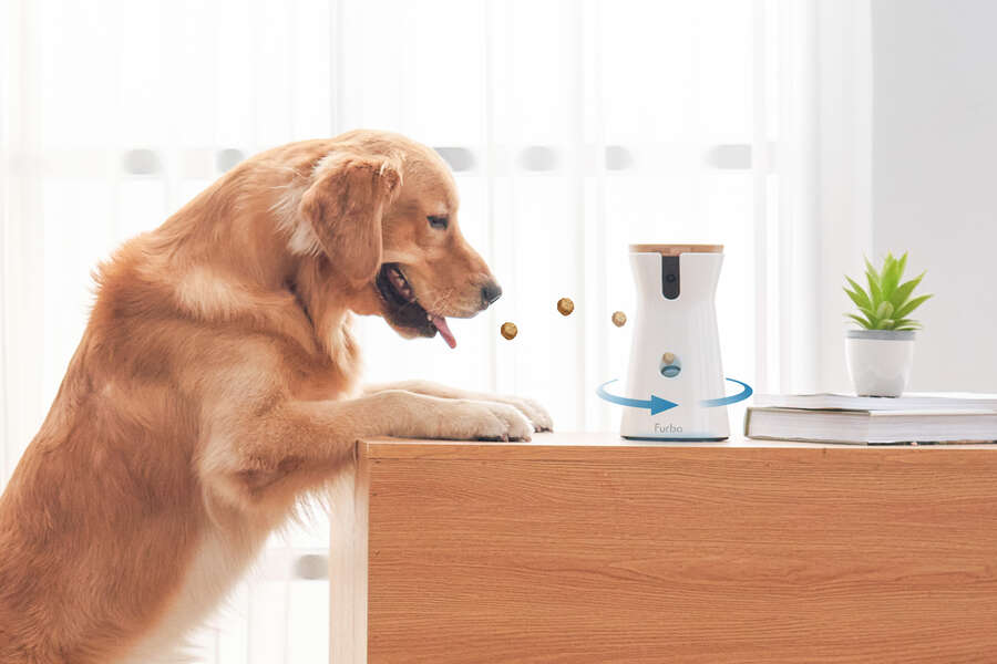 Furbo Introduces 360-Degree Camera That Will Track Your Dog's Movements ...