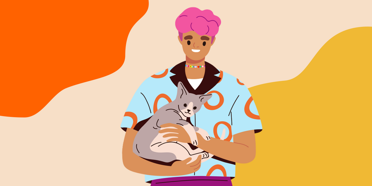 take-this-quiz-to-find-fun-activities-for-cats-mental-health-the-dodo