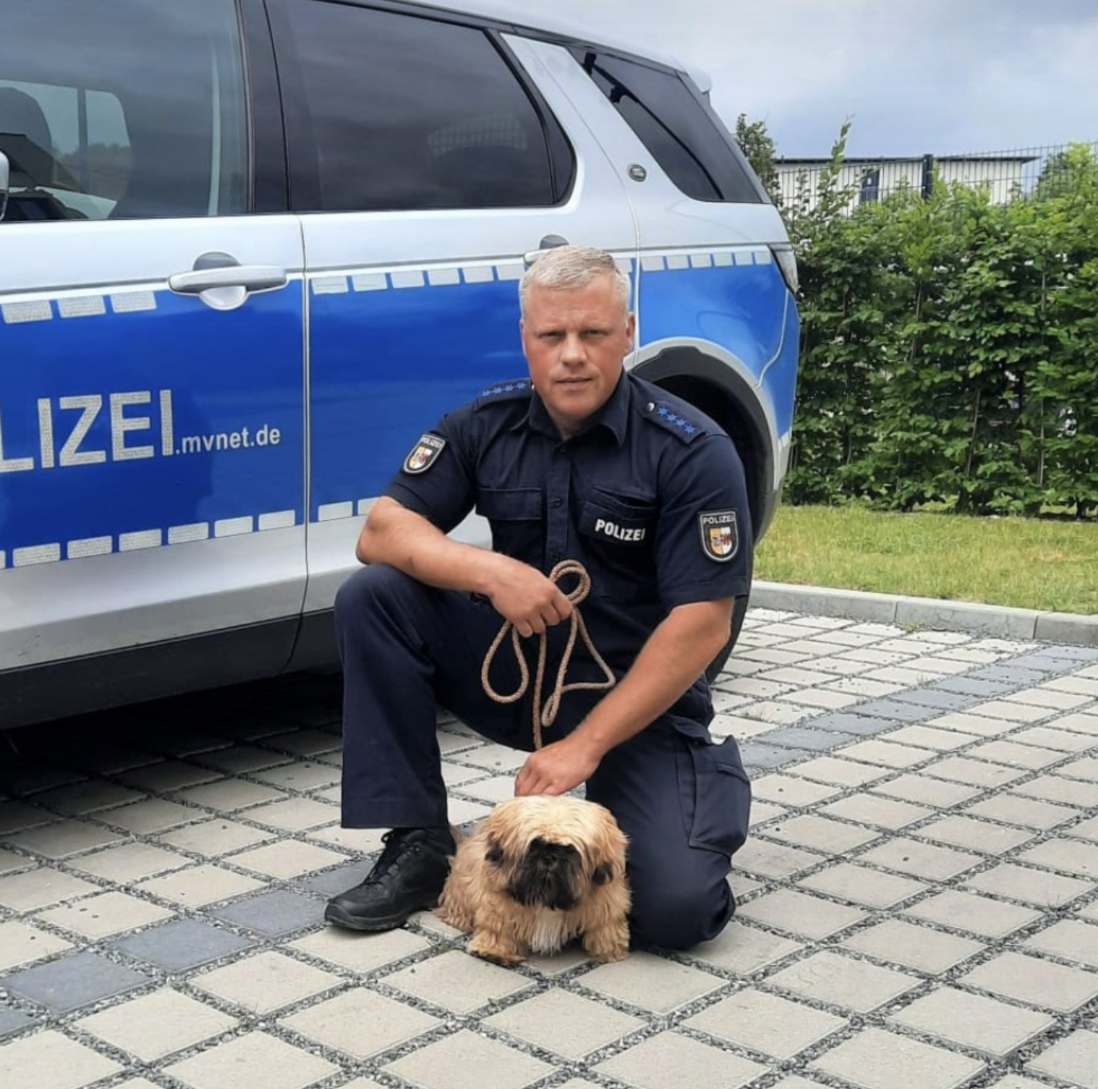 Kind Cop Goes Above And Beyond To Track Down A Kidnapped Dog - The Dodo