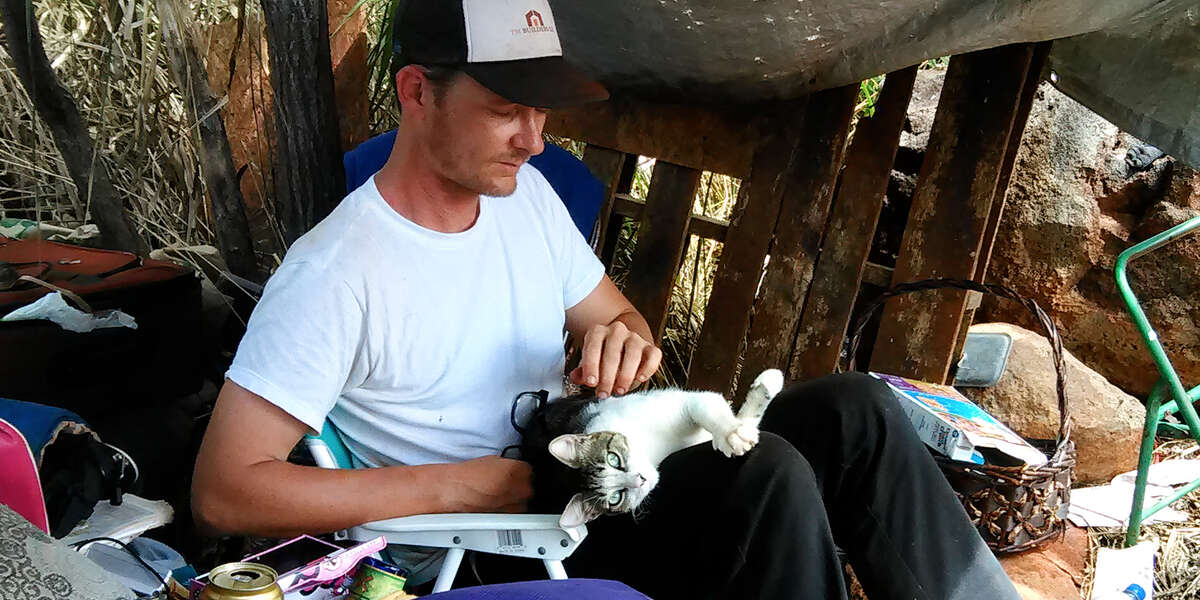 Man Wakes Up Before Sunrise to Help 100 Homeless Cats in Hawaii ...