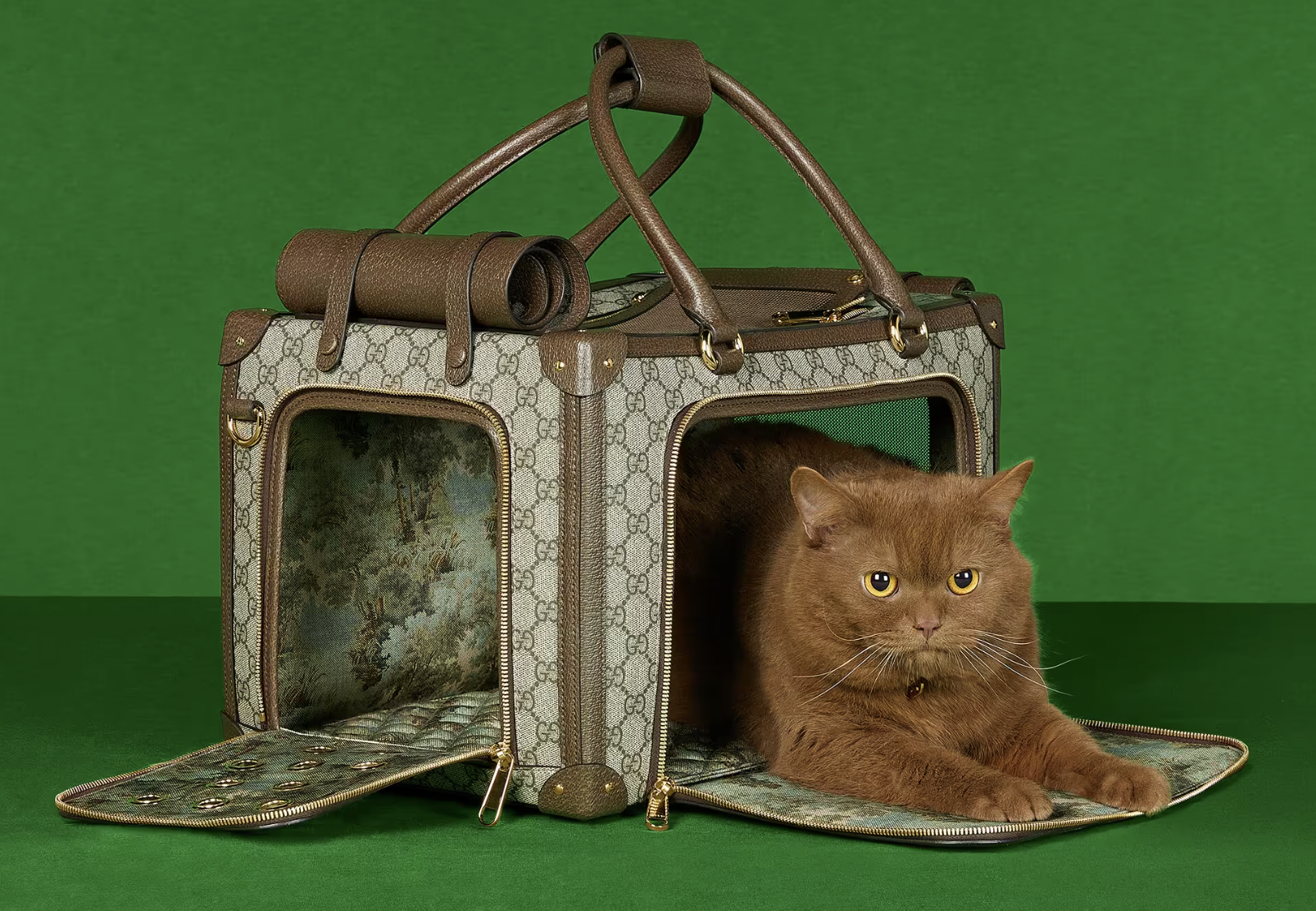 Gucci Pet Collection: The Luxury Brand Unveils New Line For Pets, And ...
