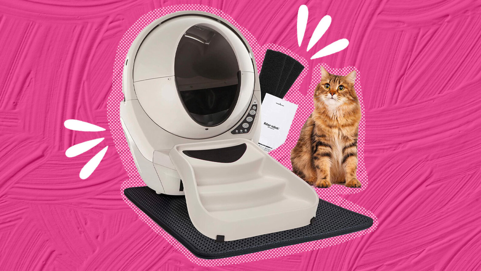 Self-Cleaning Litter Box: The 4 Best Ones For Hands-Free Scooping ...