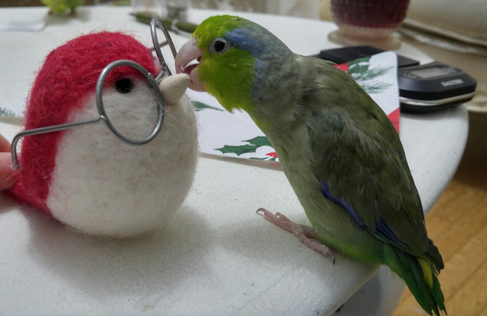 Bird Is Such A Messy Eater He Has To Dine Inside A Tiny Dome - The Dodo