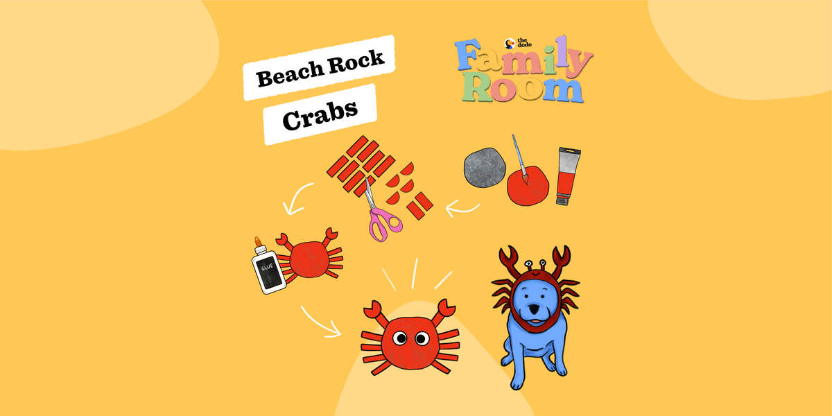 Summer Crafts: Get Creative With This Beach Rock Crab Project - The Dodo