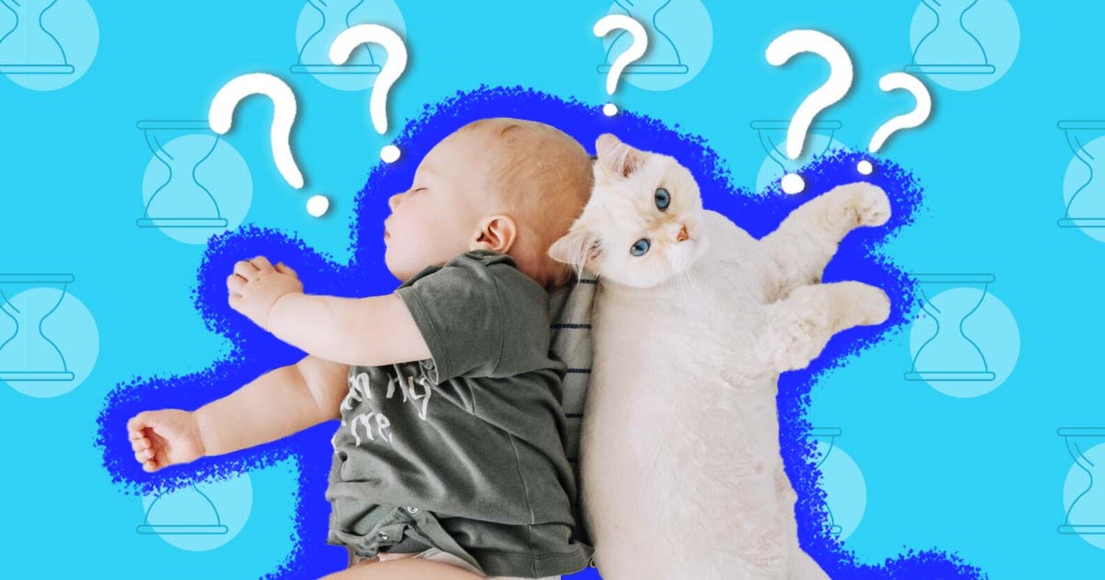 Cat Years To Human Years: How To Calculate Your Cat’s Age - DodoWell ...