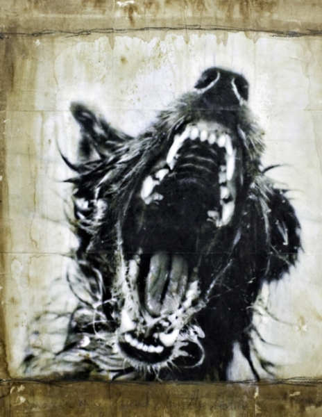 James Walker Art - Own - Thrillist Washington DC