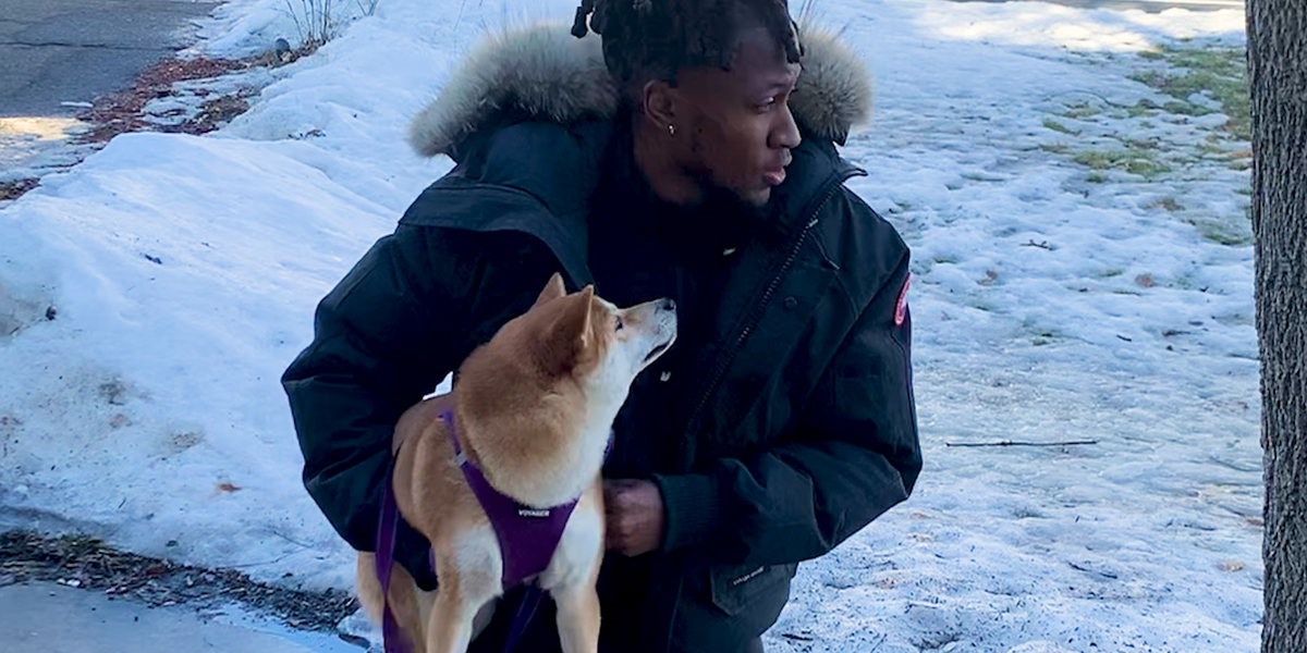 The Ridiculous Things We Do For Our Dogs - Videos - The Dodo