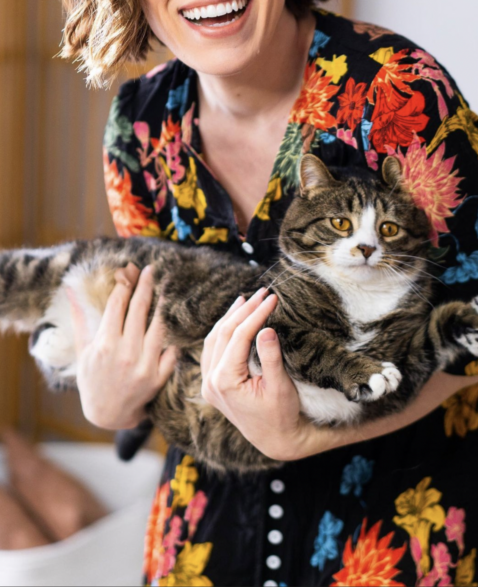 Heartwarming Video Shows What Love Does To A Sad Shelter Cat - The Dodo