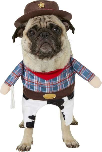 Funny Dog Costumes: 8 Picks Sure To Slay This Halloween - DodoWell ...
