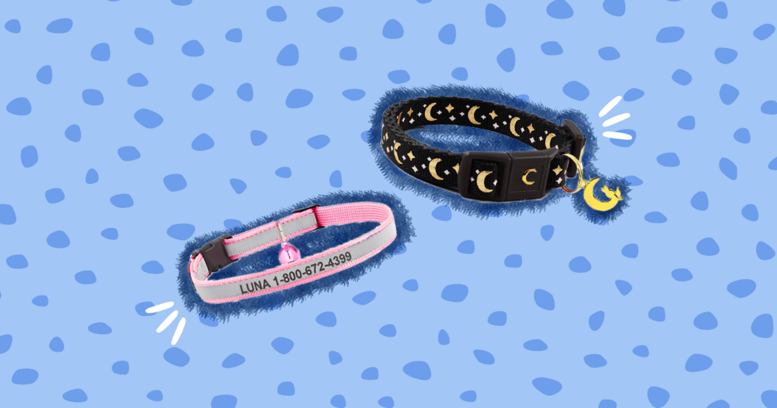Kitten Collars: 6 Best Options For Your Tiny BFF - DodoWell - The Dodo