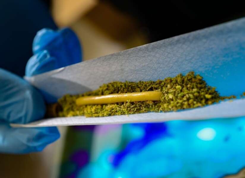 Fidel Hydro Is Behind California’s Most Popular Cannabis Oil Infused ...