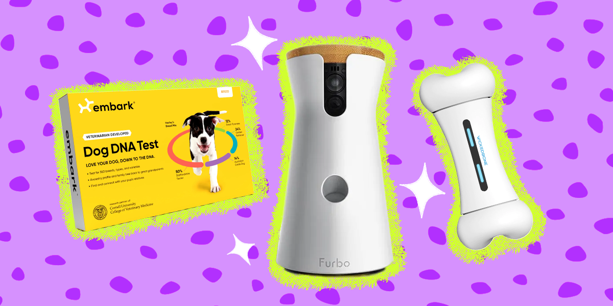 Pet Tech Products: The Best Tech You Can Buy For Your Pets In 2022 ...