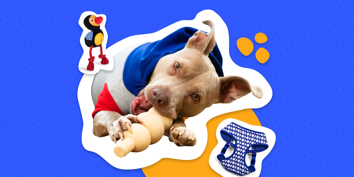 The Dodo Pet Product Collection, Only At Walmart