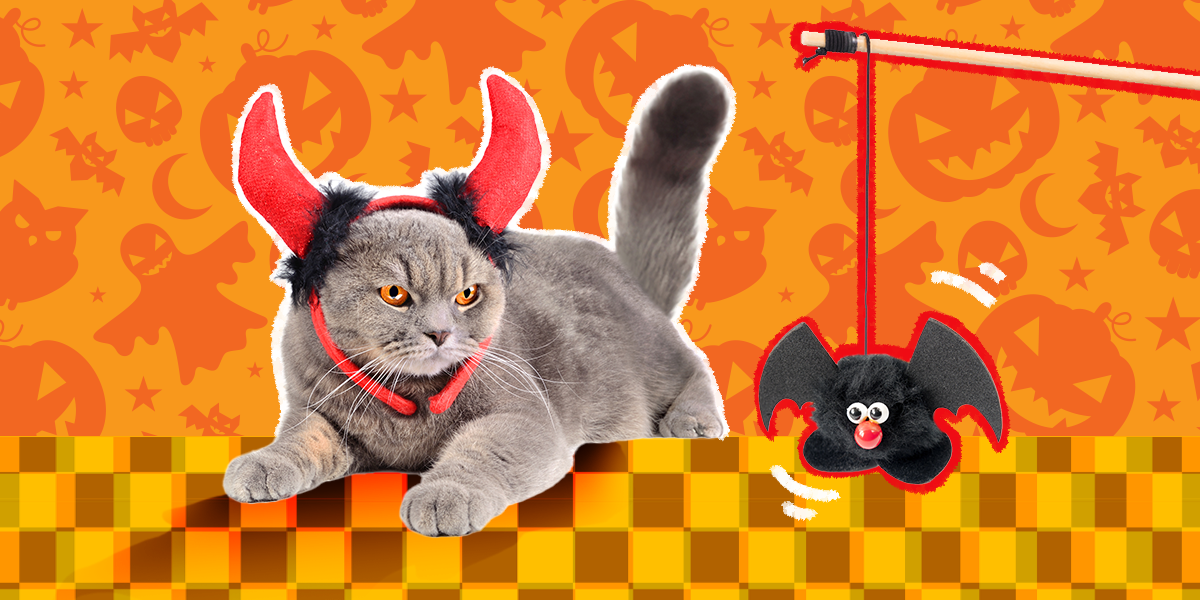 13 Halloween Cat Toys That Are Perfect For Spooky Season - DodoWell ...
