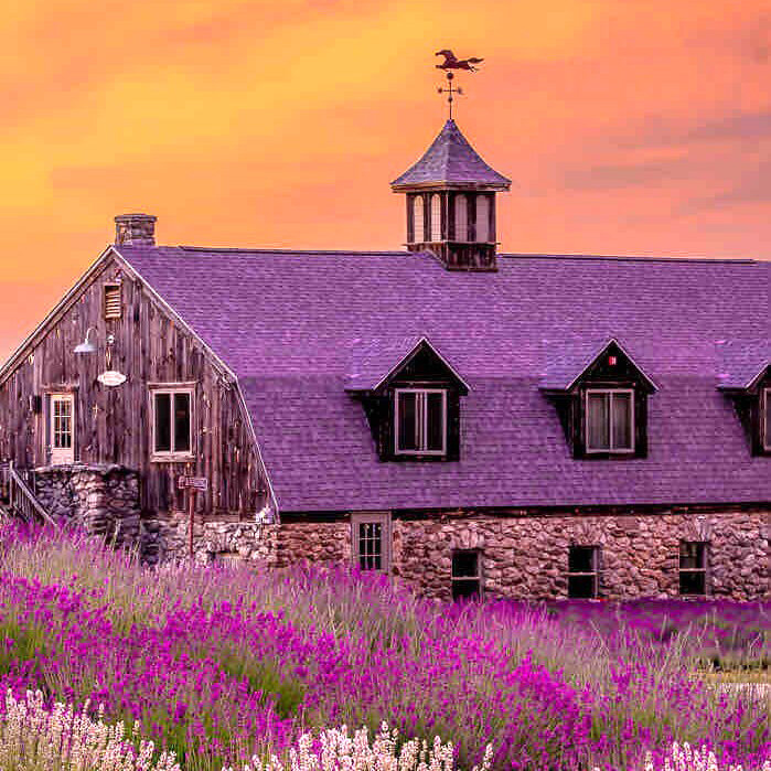 Best Farm Stays on Airbnb in 2022: Book a Remote Weekend Getaway ...