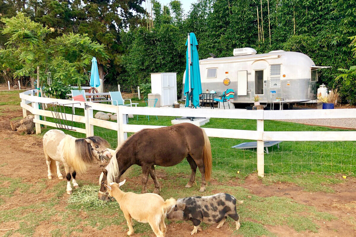 Best Farm Stays on Airbnb in 2022: Book a Remote Weekend Getaway ...