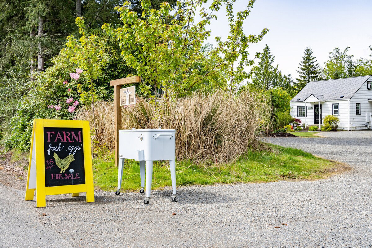 Best Farm Stays on Airbnb in 2022: Book a Remote Weekend Getaway ...