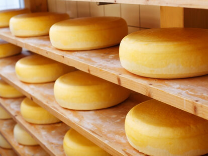 US Border Patrol Seized 50 Wheels of Cheese from Driver - Thrillist