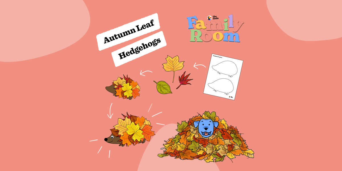 Fall Crafts For Kids: Use Autumn Leaves To Make Hedgehog Quills - The Dodo