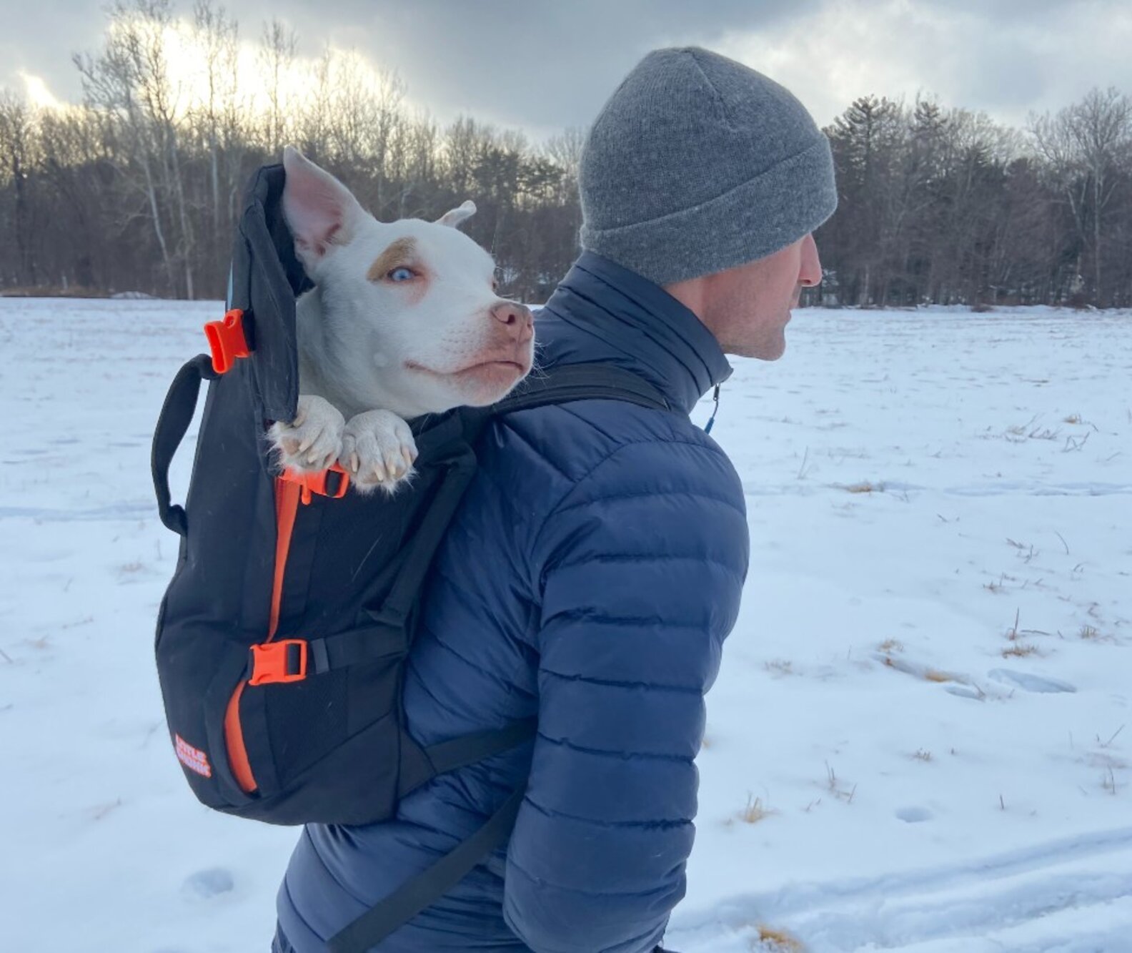 Little Chonk Maxine One Bag Review: We Put The Dog Backpack To The Test ...