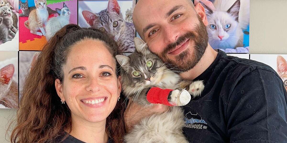 Kitten Was Told He Would Never Walk Normal Again - Videos - The Dodo