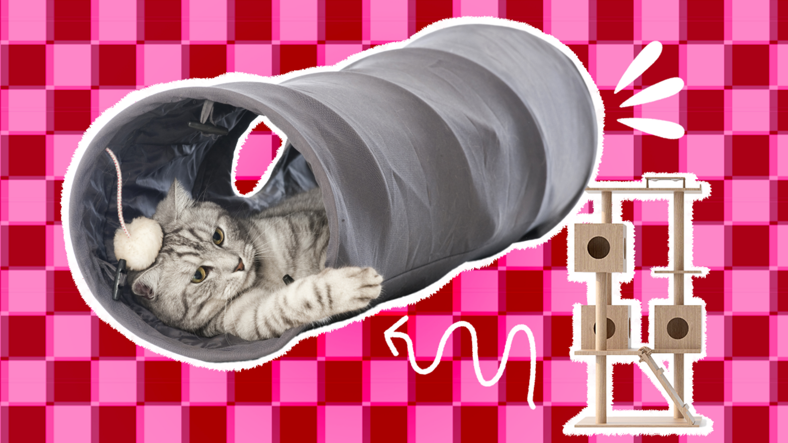 13 Coolest Things You Need For Your Cat - DodoWell - The Dodo