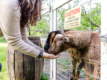 Best Farm Stays on Airbnb in 2022: Book a Remote Weekend Getaway ...