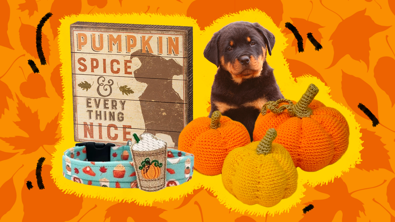 13 Fall Dog Toys, Treats And Accessories To Get You And Your Pet In The ...