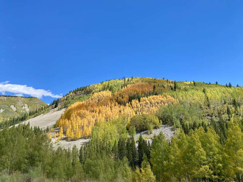 Where to See Fall Foliage and Changing Leaves Near Denver - Thrillist