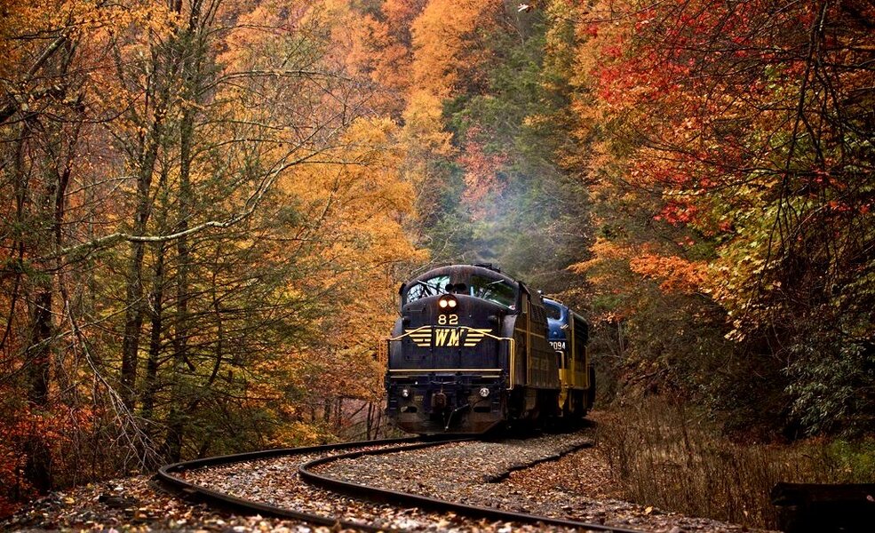 Fall Foliage Train Rides: Most Scenic Railroads to See the Leaves Change - Thrillist
