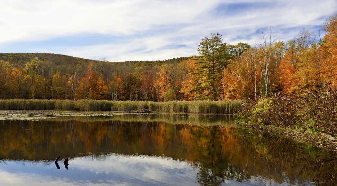 Best Hikes Near Boston: Good Trails Near the City to Hike, Bike & Walk ...