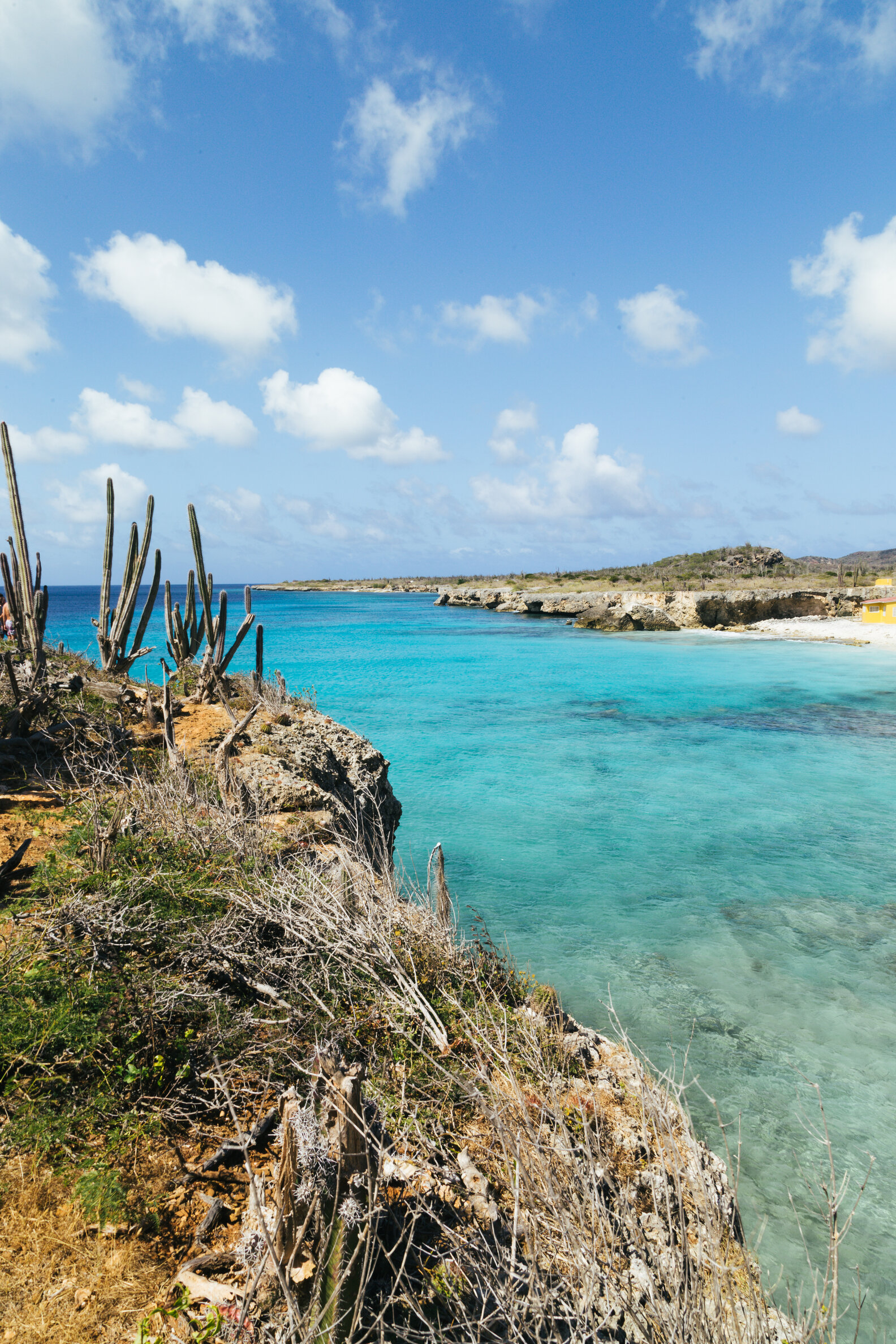 Best Things to Do in Bonaire: Vacationing in the Dutch Caribbean ...