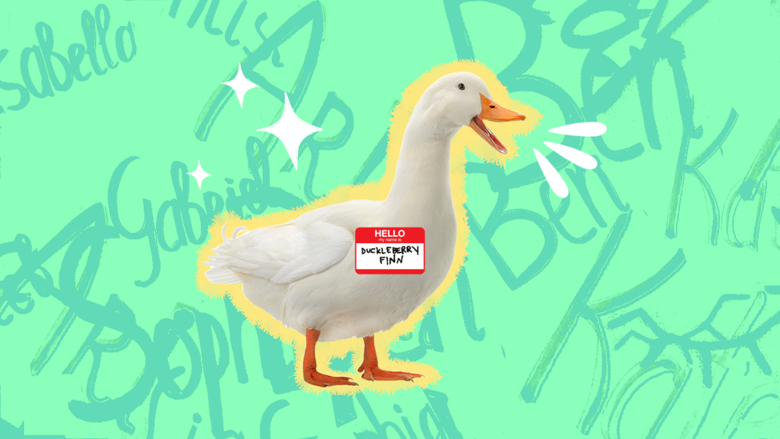 50 Duck Names That Are Perfect For Your Beaked Buddy - DodoWell - The Dodo