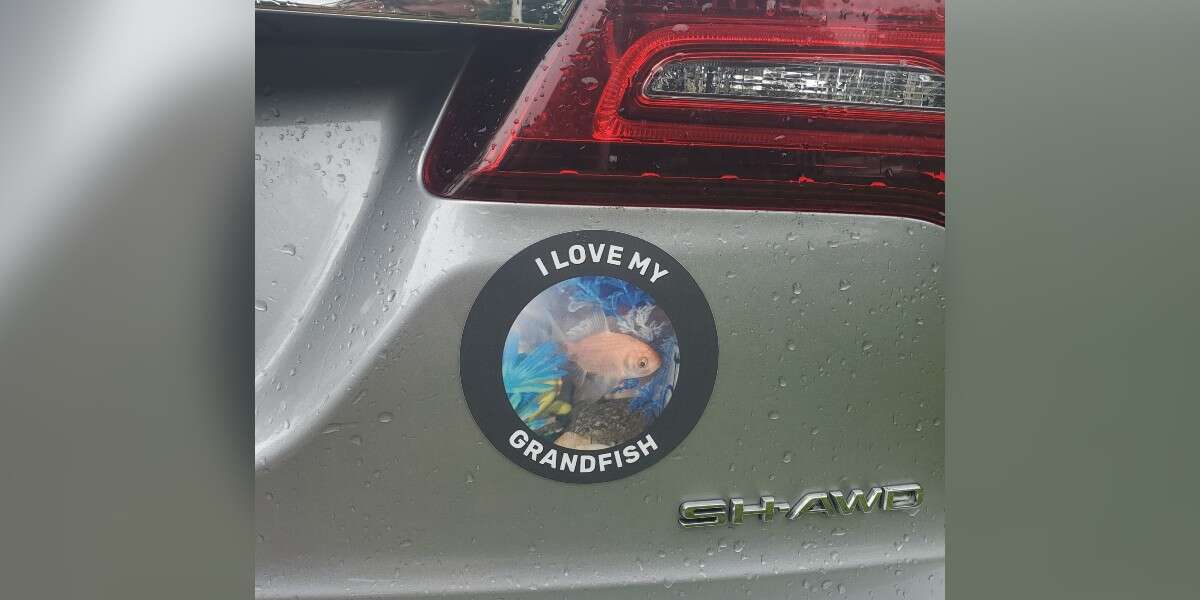 Woman Sneaks Magnet Onto Mom's Car That Shows Off Her Fish Grandchild ...
