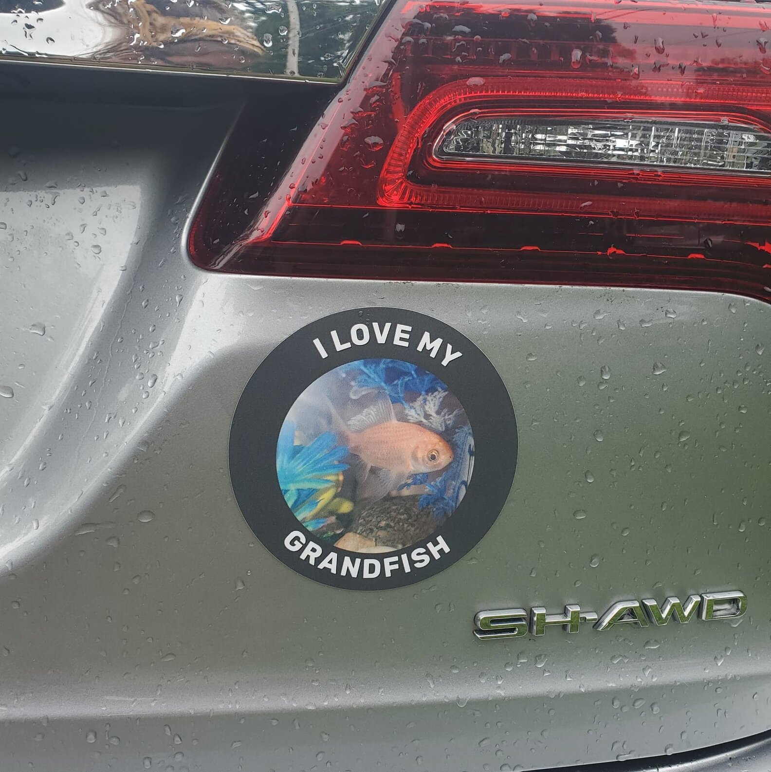 Woman Sneaks Magnet Onto Mom's Car That Shows Off Her Fish Grandchild ...