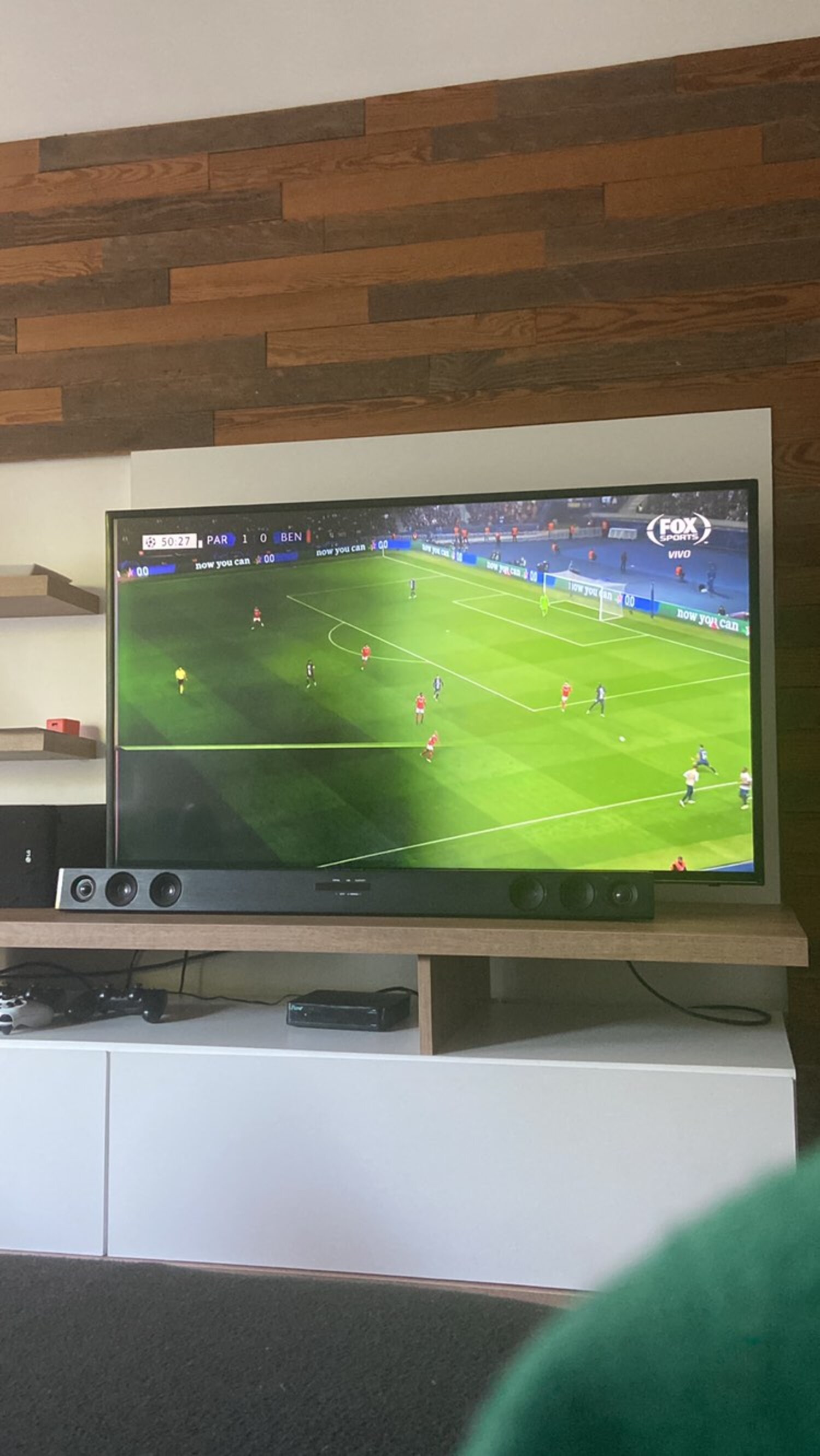 Cat Casually Breaks TV To Reclaim His Family’s Full Attention - The Dodo