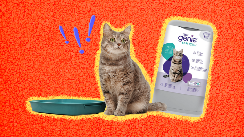 7 Litter Box Supplies To Keep Your Home Smelling Fresh - DodoWell - The ...