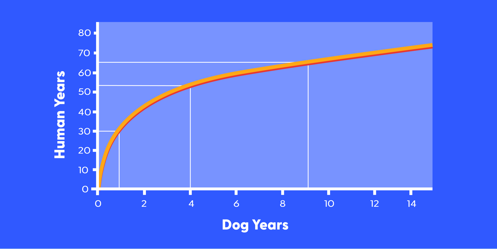 Dog Years To Human Years: The “Multiply By 7” Ratio Has Been Updated ...