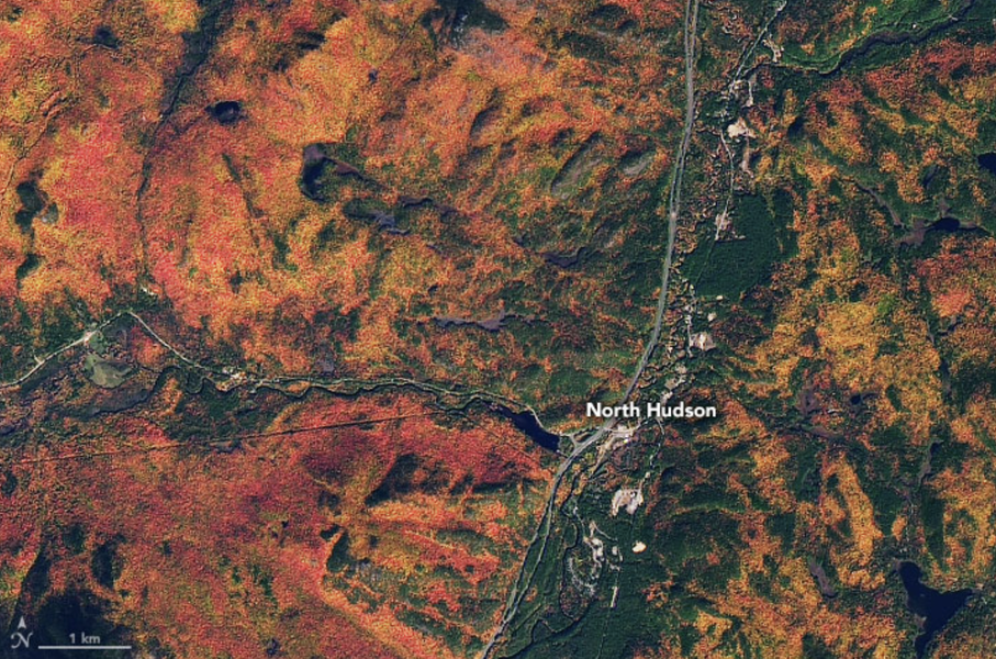 NASA Reveals Pictures of Autumnal Trees from Space - Thrillist