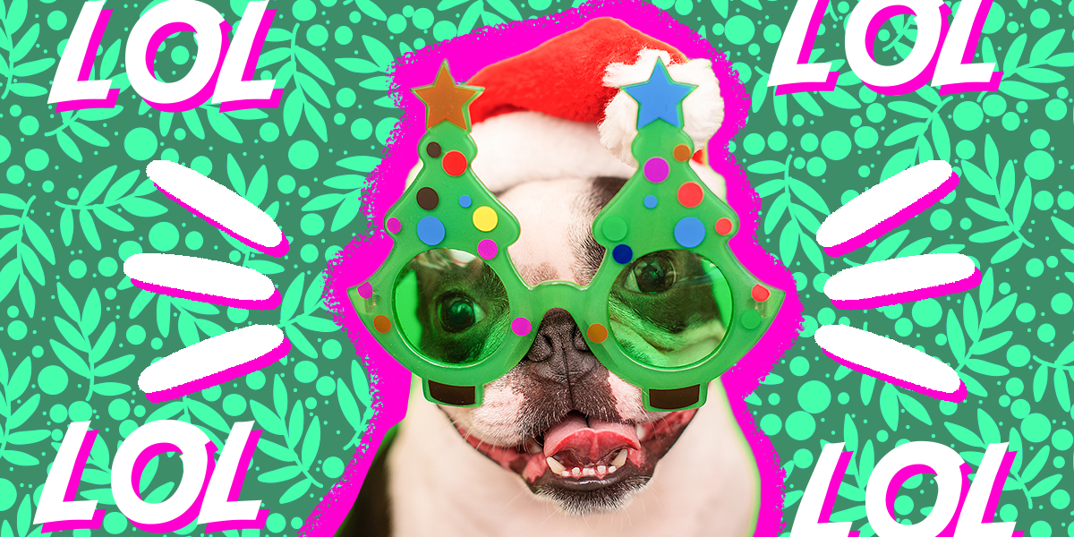 Christmas Dog Puns: 20 Phrases To Get Your Kids (And Pup!) In The Mood ...