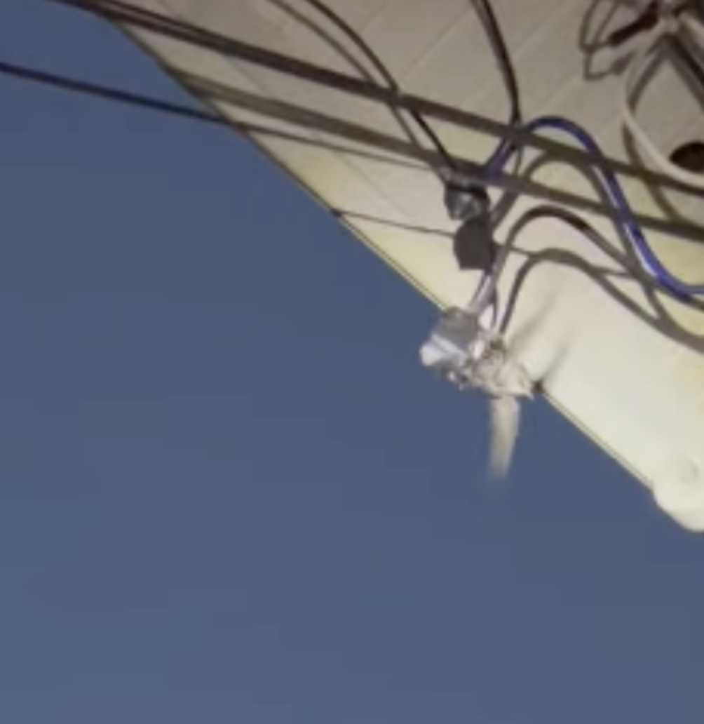 Rescuer Races Against Time To Save Bird Tangled In Live Electrical Wire ...
