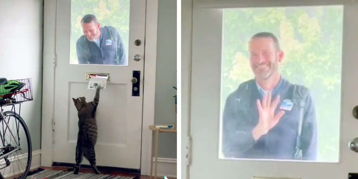 Nice Mailman Delivers Joy Each Morning To Cat Who's His Biggest Fan ...