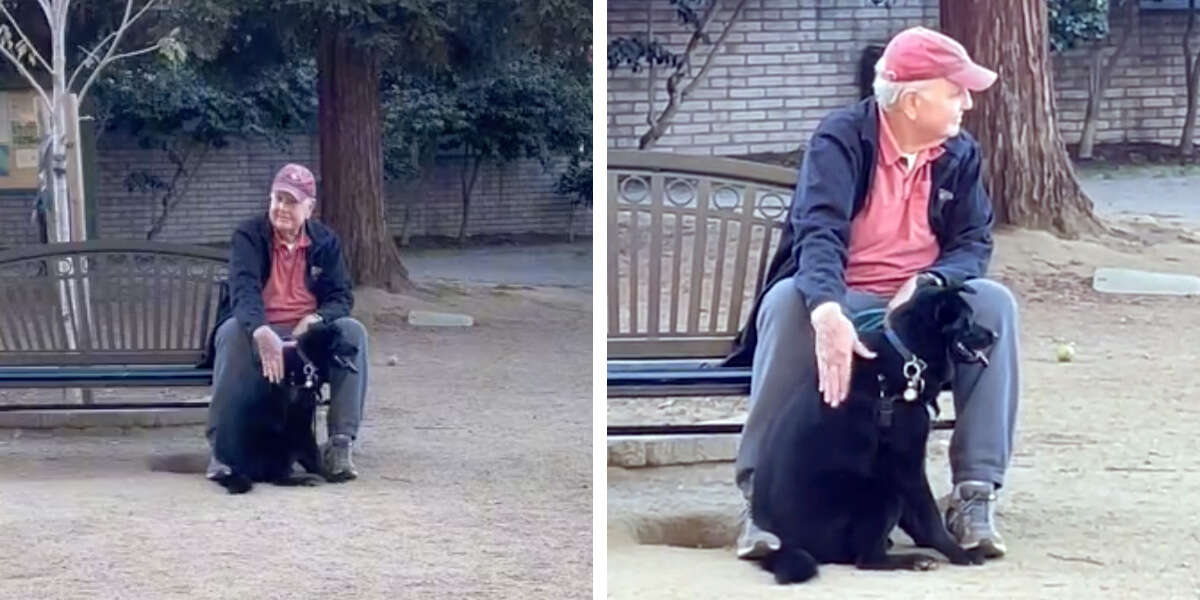Woman Finds Her 'Lost' Dog Cuddling With A Stranger At The Park - The Dodo